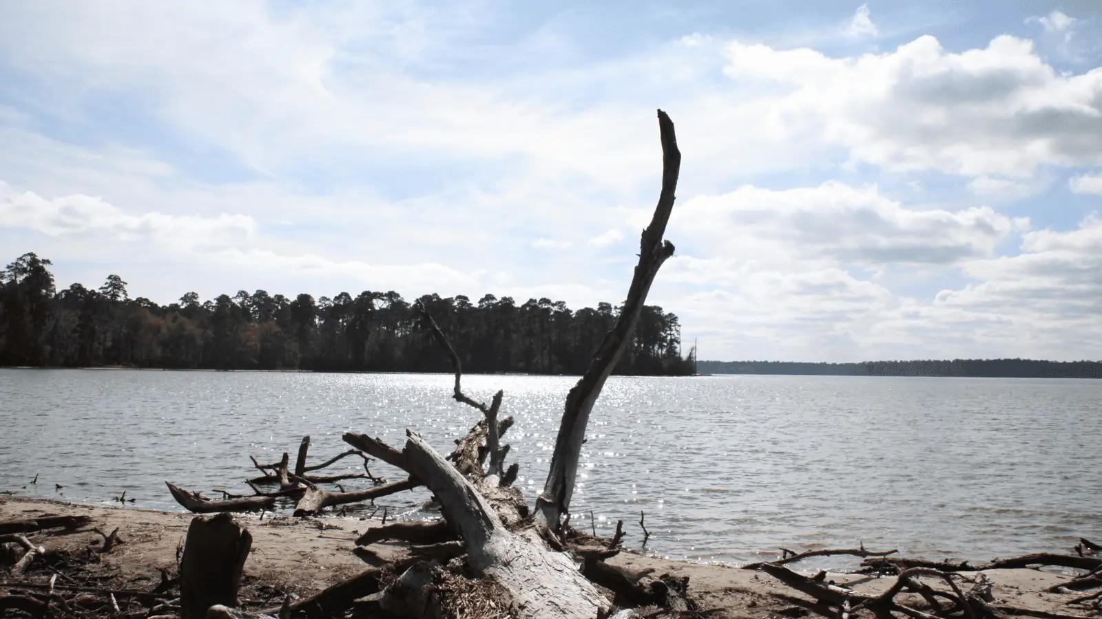 15 Best Lakes Near Houston: Adventure Awaits
