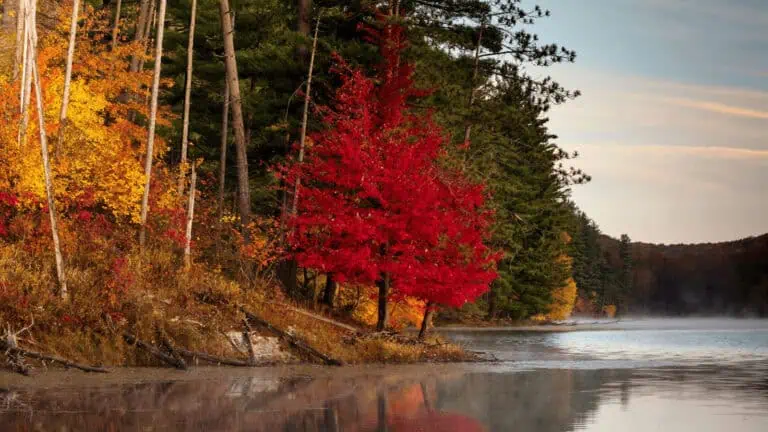 14 Lakes Near Columbus: Discover the Perfect Outdoor Getaways